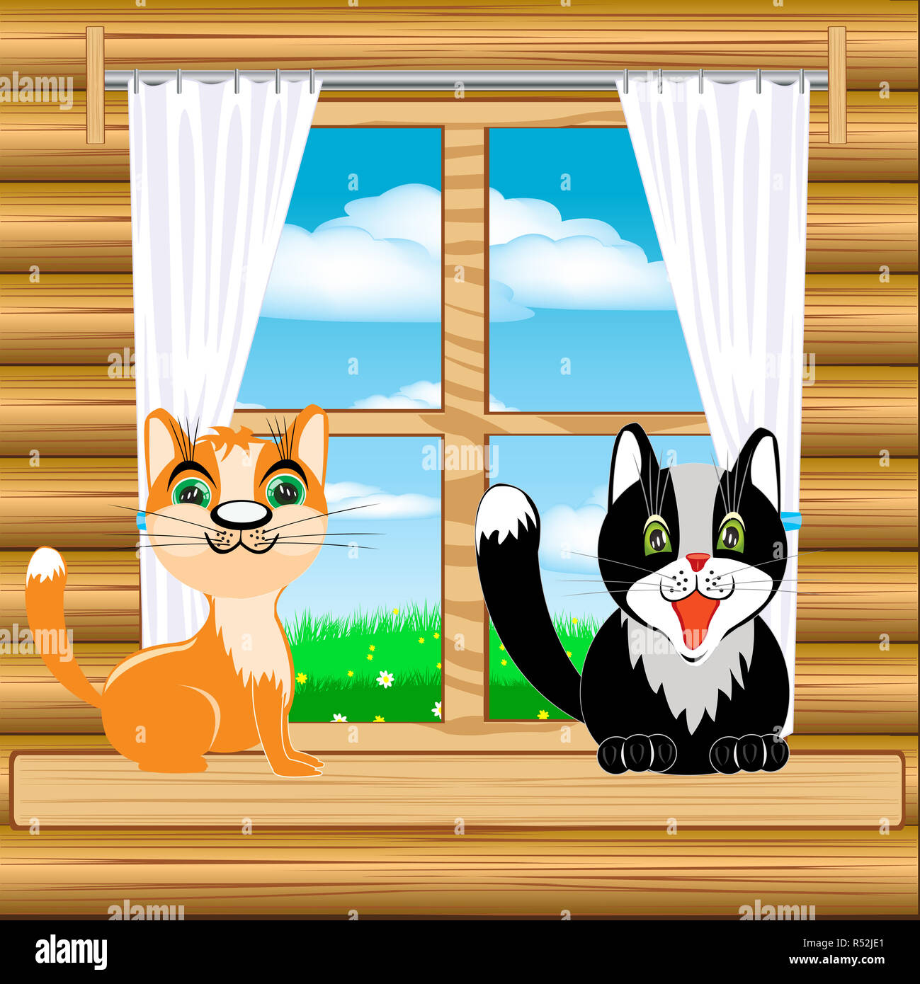 Cats on window Stock Photo - Alamy