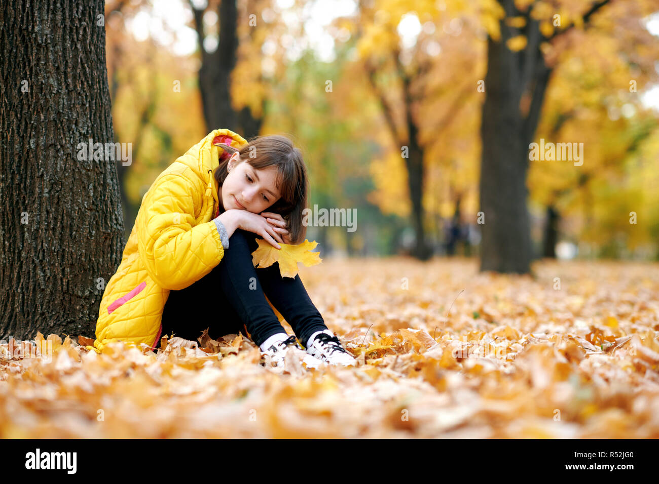 Teen girl sits in tree hi-res stock photography and images - Alamy