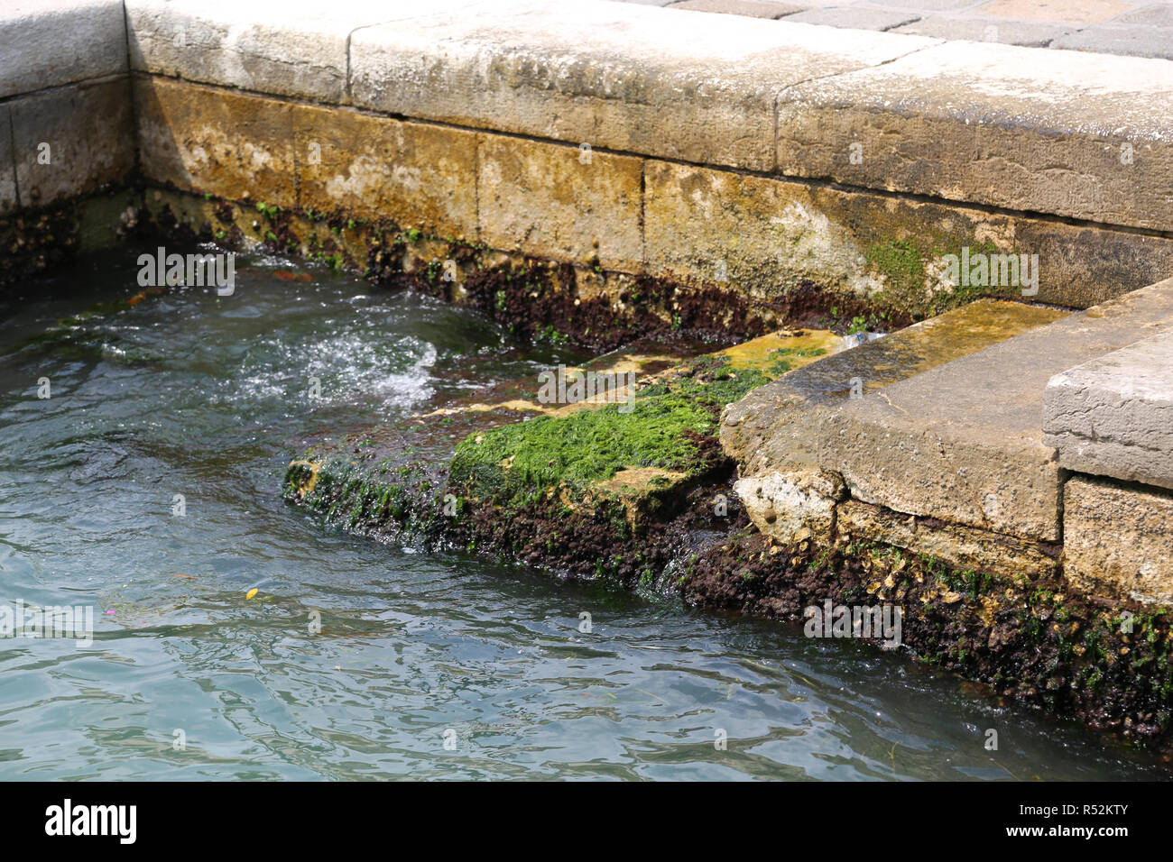 steps with algae and sea water during high tide in Venice in Italy ...