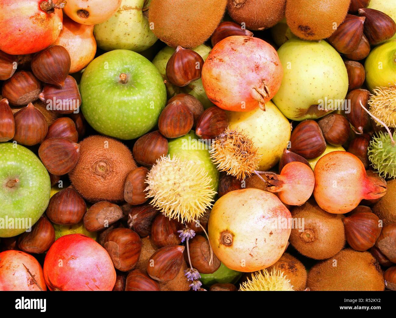 kiwi chestnuts pomegranates big apples and other autumn fruits Stock ...