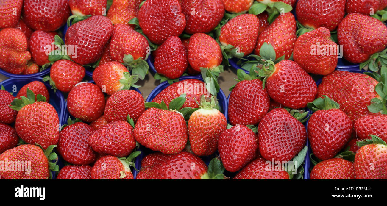 red strawberries grown using the techniques of organic farming for sale ...