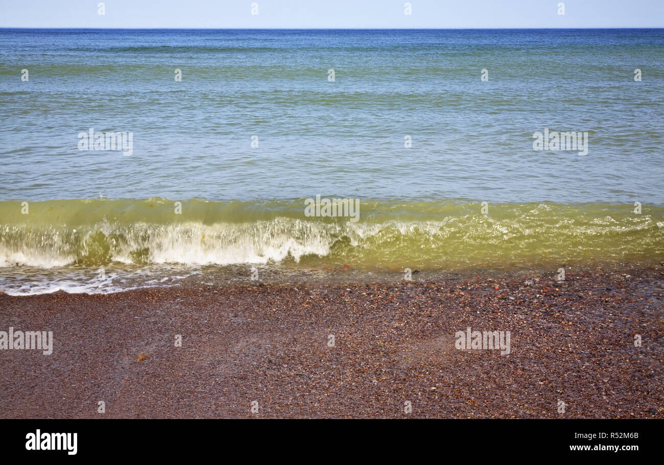 View of Curonian Spit. Kaliningrad Oblast. Russia Stock Photo - Alamy