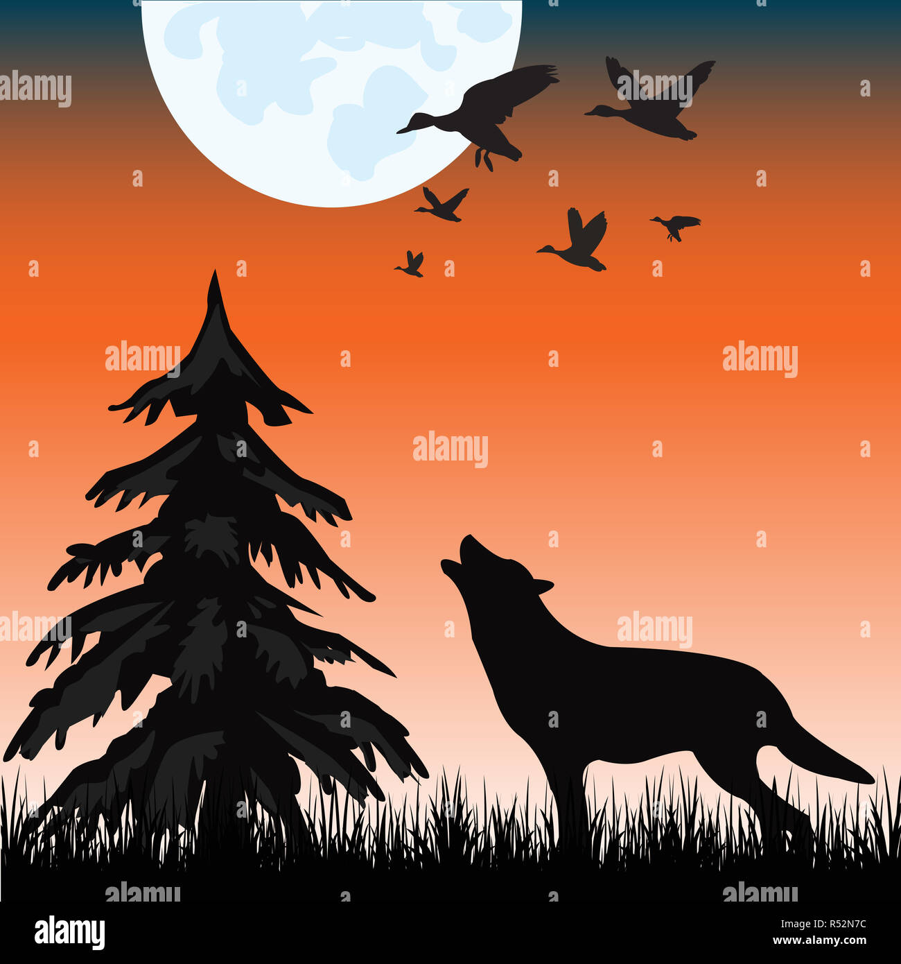 Ravenous wolf hi-res stock photography and images - Alamy