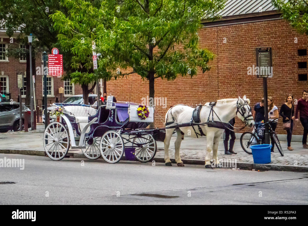 A large purple horse drawn carriage in Pennsylvania, Philadelphia Stock ...
