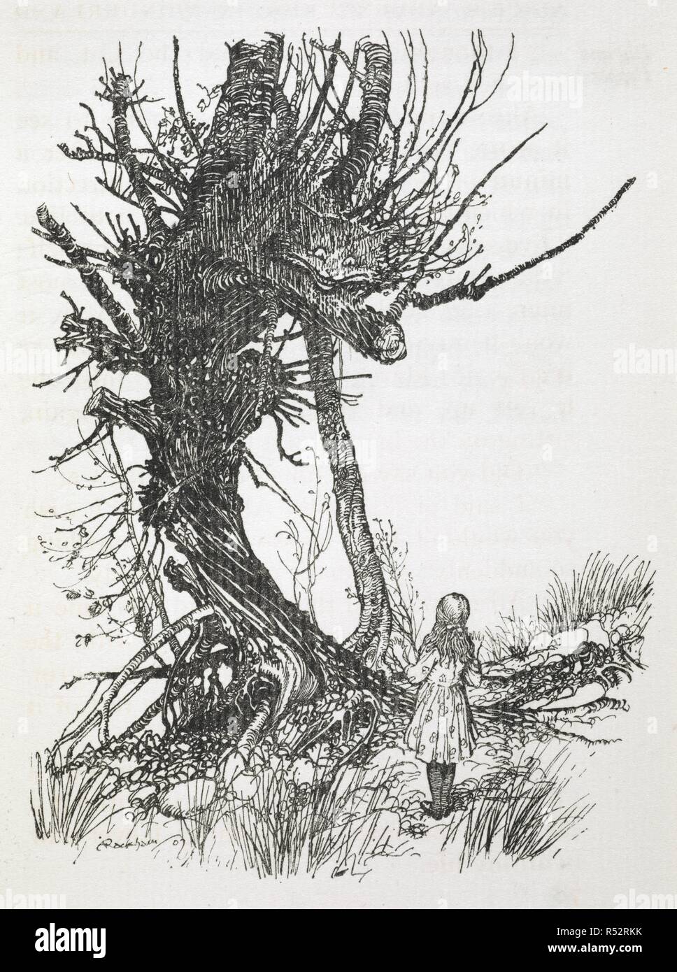 Arbol e hi-res stock photography and images - Alamy