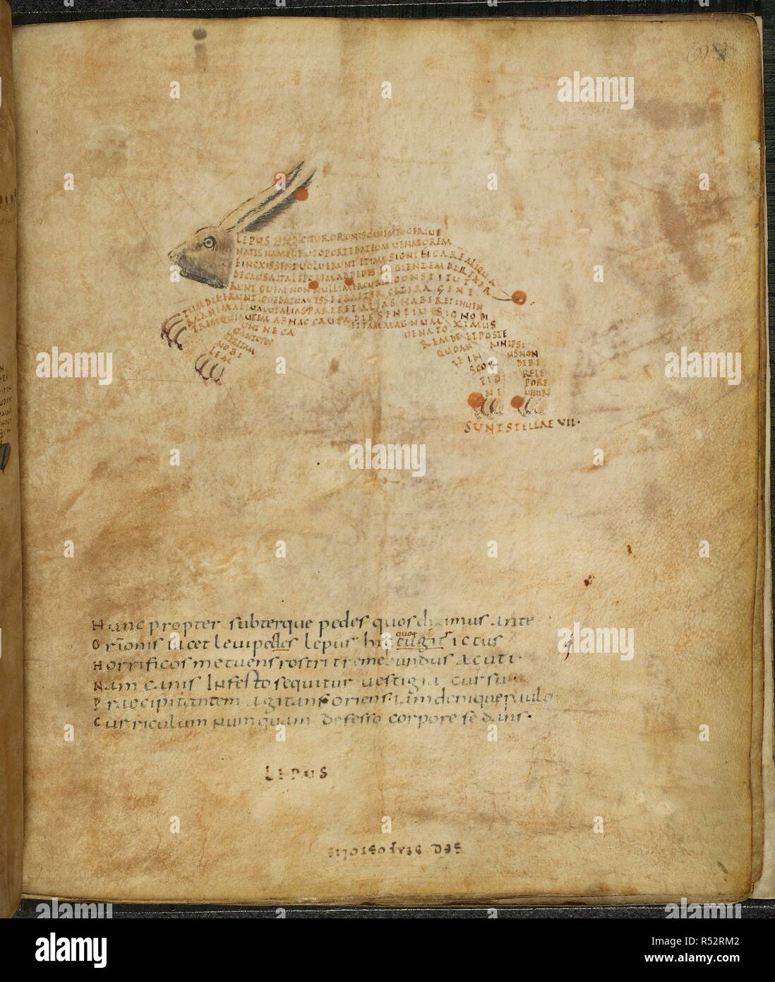 Illustration of Lepus the hare, the favourite prey of the hunter Orion ...