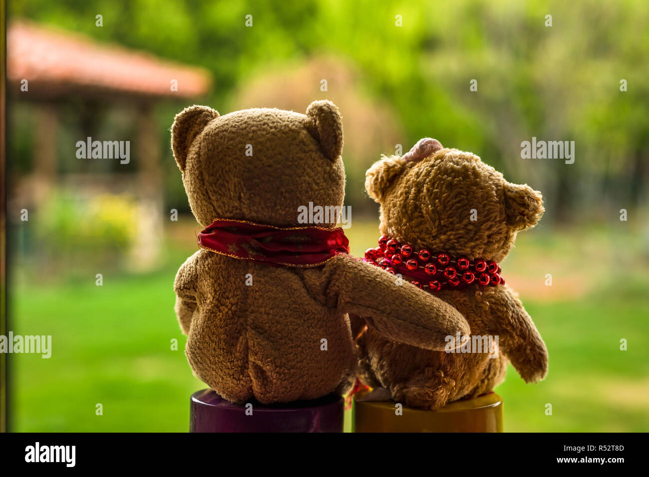 Two sitting bears hi-res stock photography and images - Alamy
