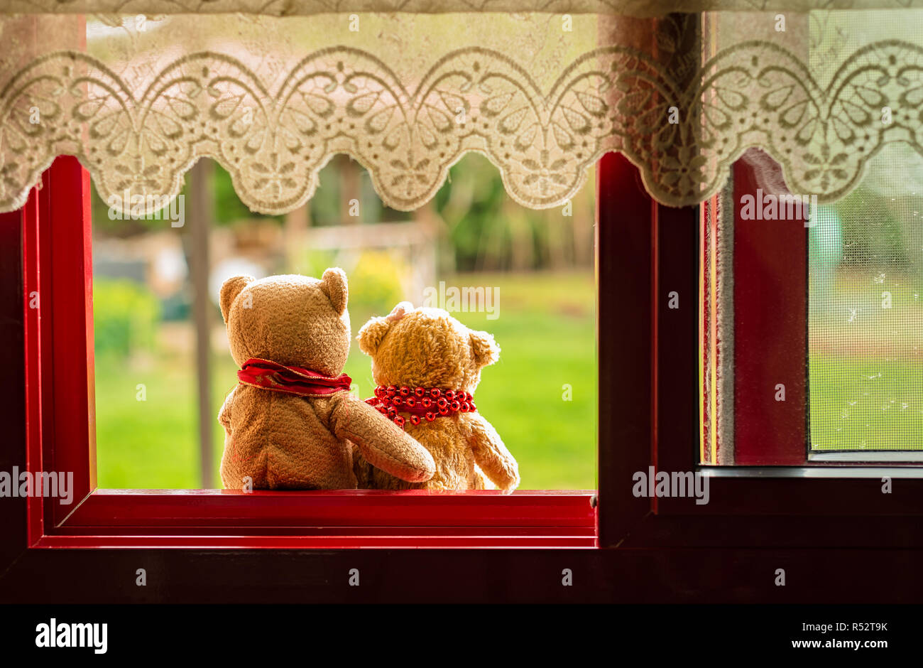Two teddy bears sitting on hi-res stock photography and images - Alamy