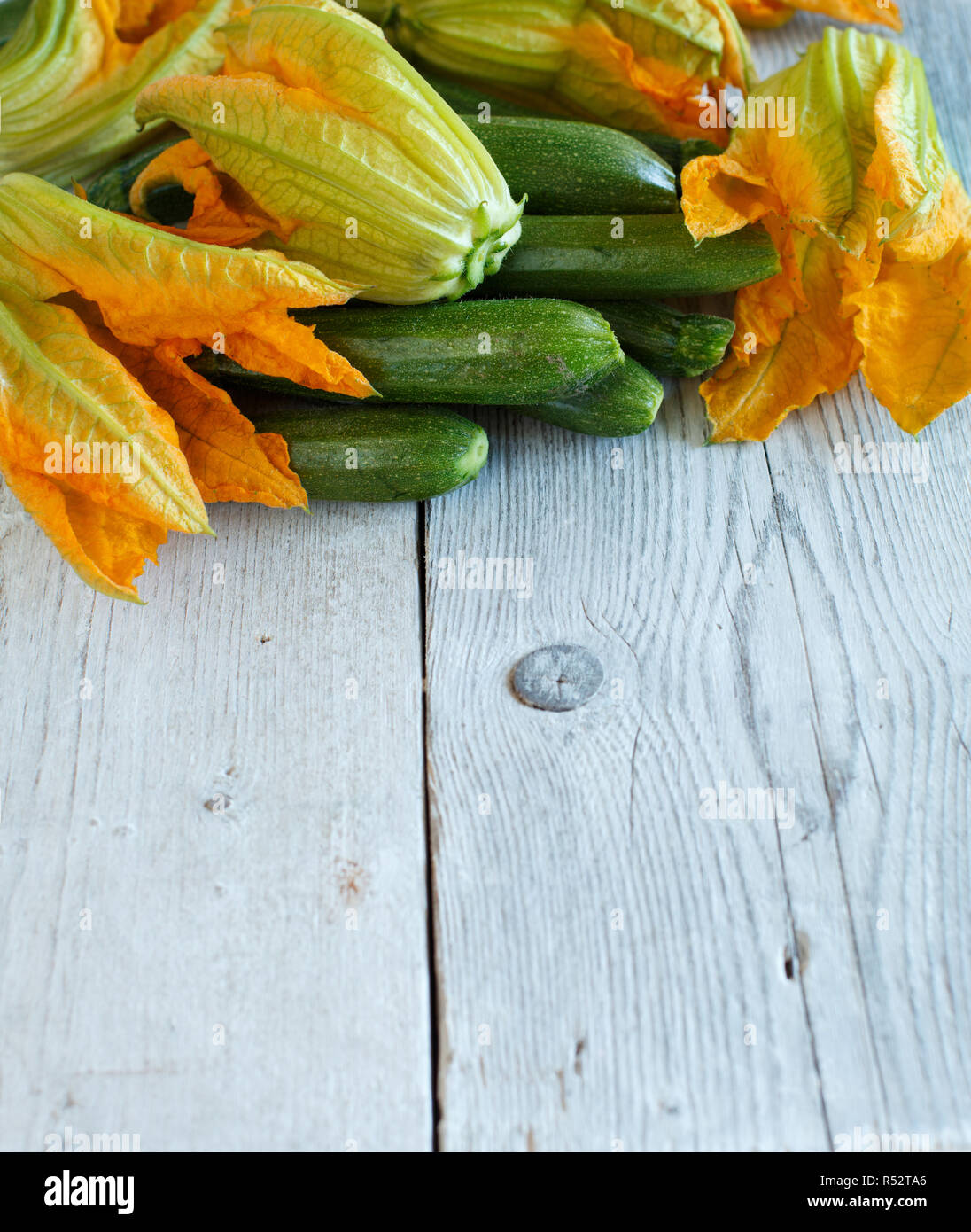 Zucchini and zucchini flowers Stock Photo - Alamy