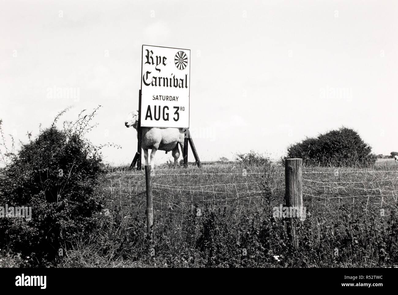 Level 42 1985 hi-res stock photography and images - Alamy