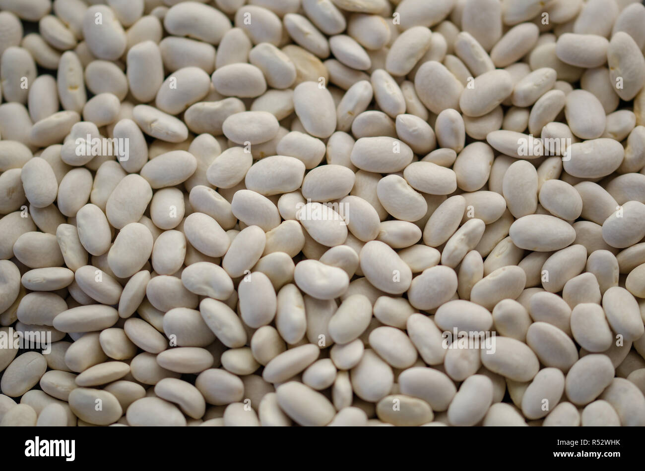 Haricot beans texture background or pattern. Raw legume food Stock ...