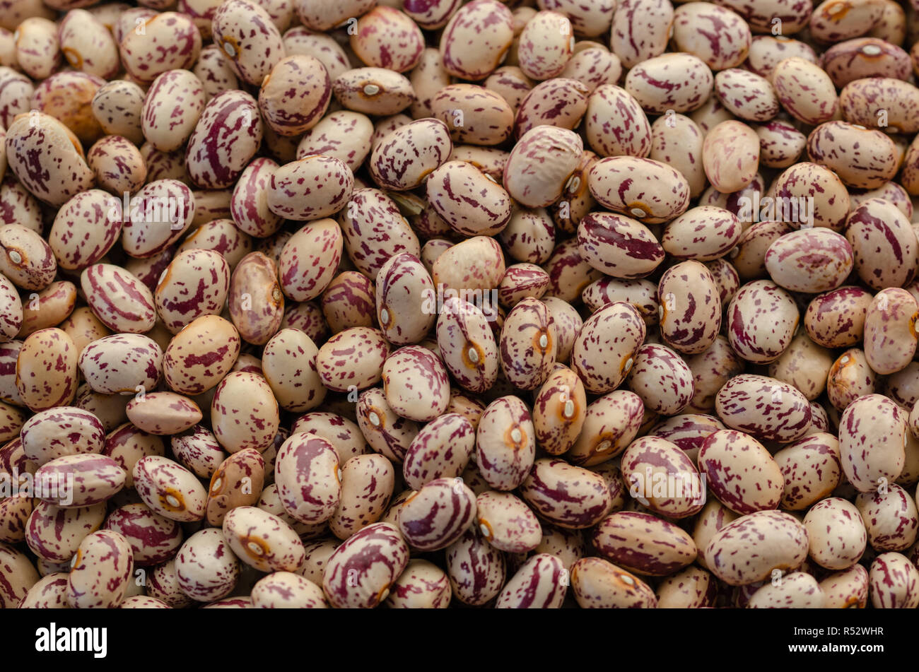 Kidney beans texture background or pattern. Raw legume food Stock Photo ...