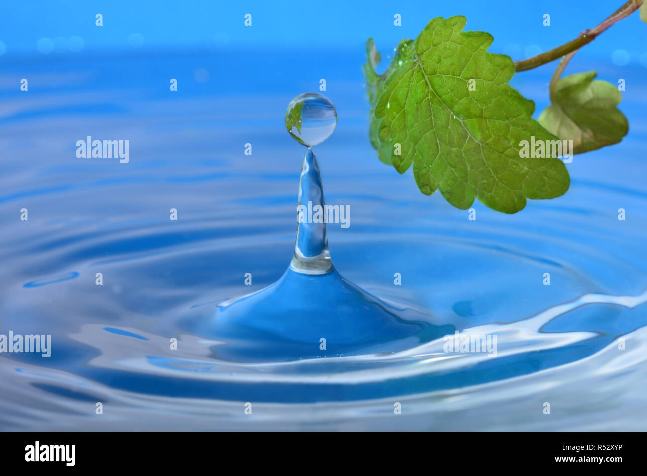 Natural drop of water Stock Photo - Alamy