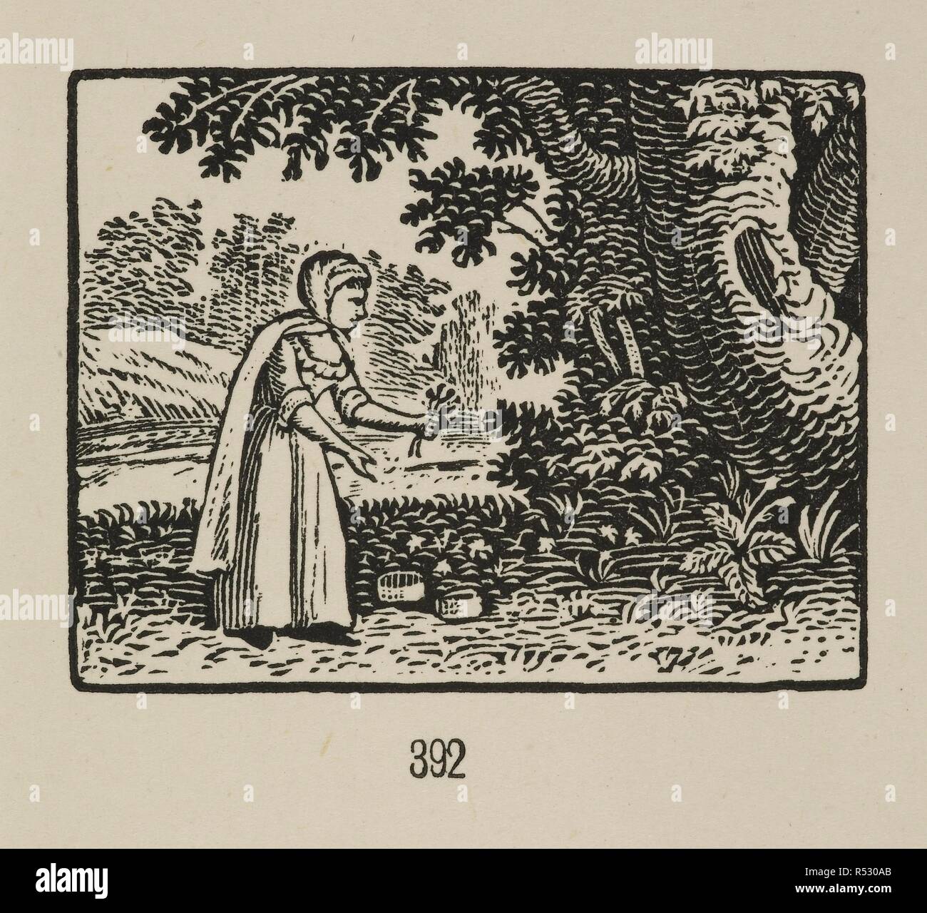 Thomas bewick book hi-res stock photography and images - Alamy