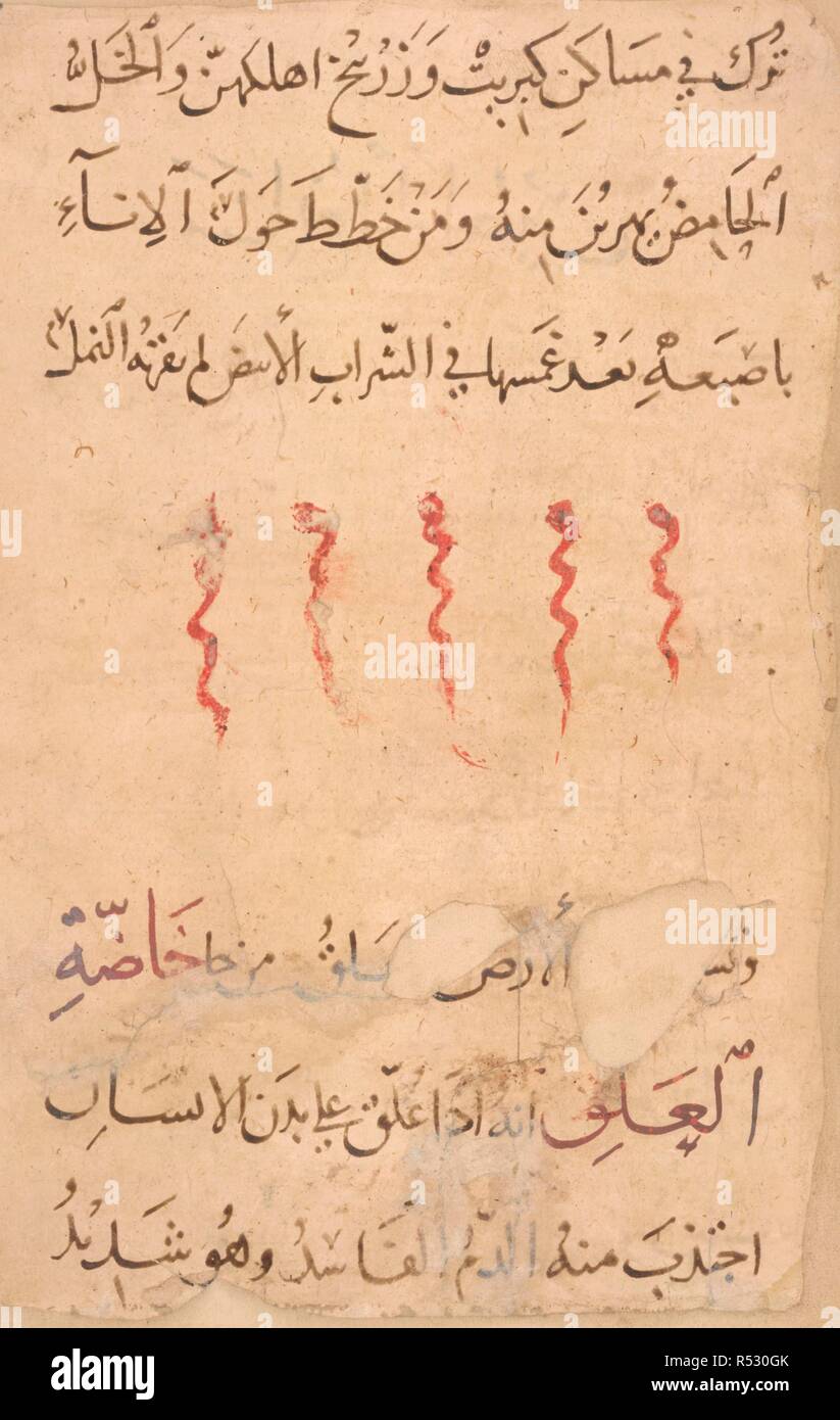 Five leeches or earthworms. Kitab Na't al-hayawan (book of the ...