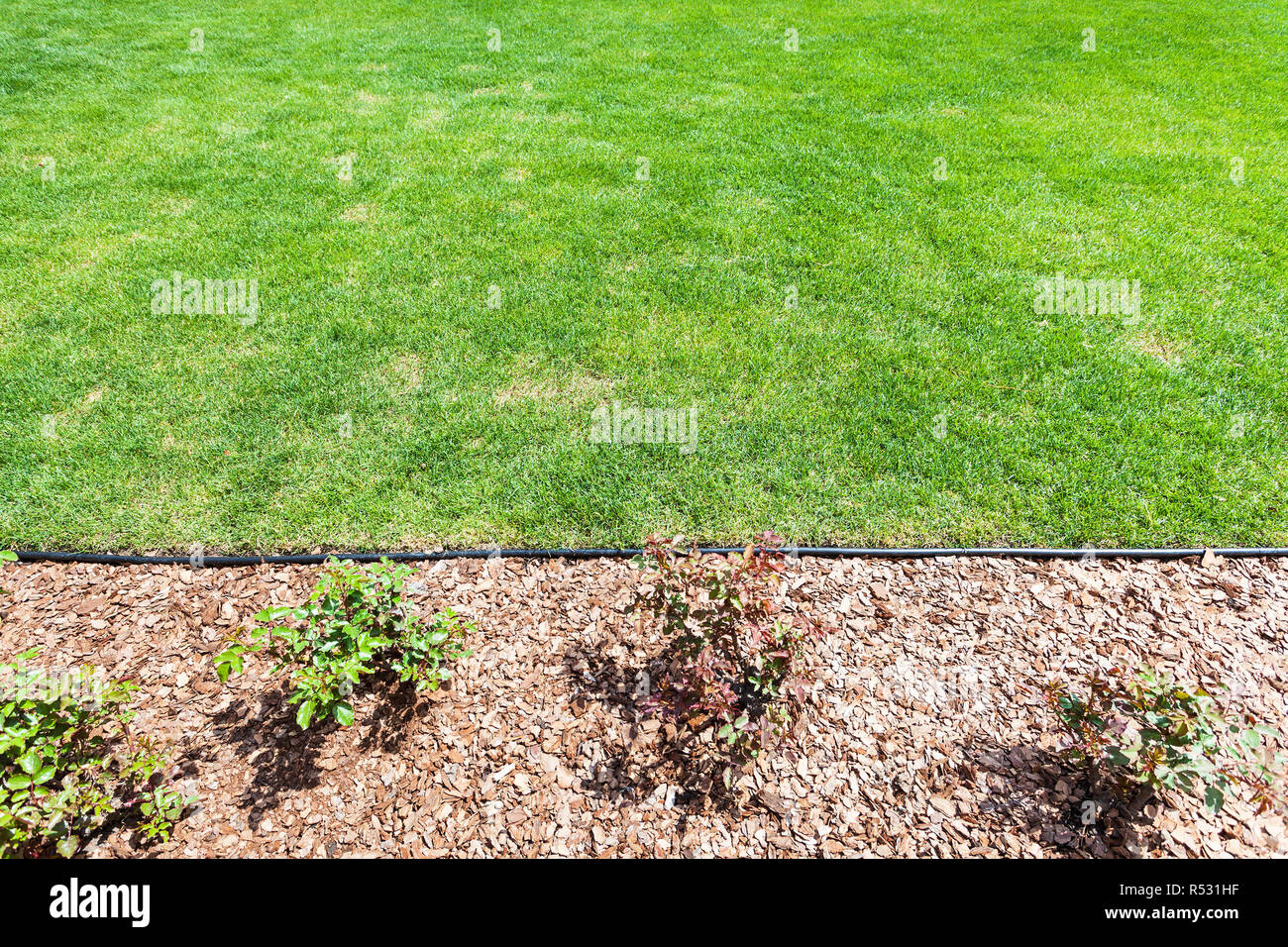 manicured lawn on backyard Stock Photo - Alamy