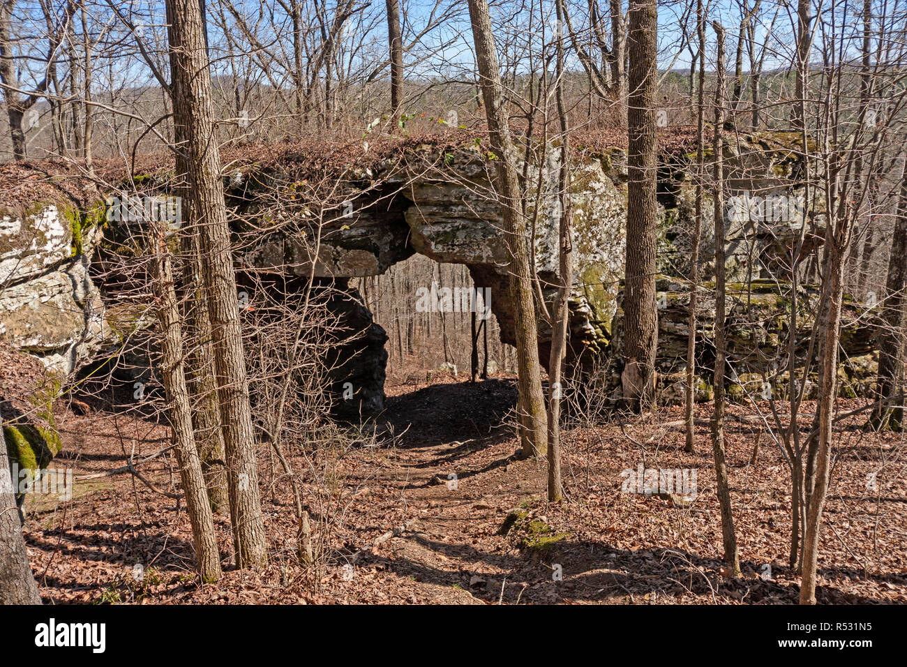 Rock Bridge in the Forest Stock Photo - Alamy