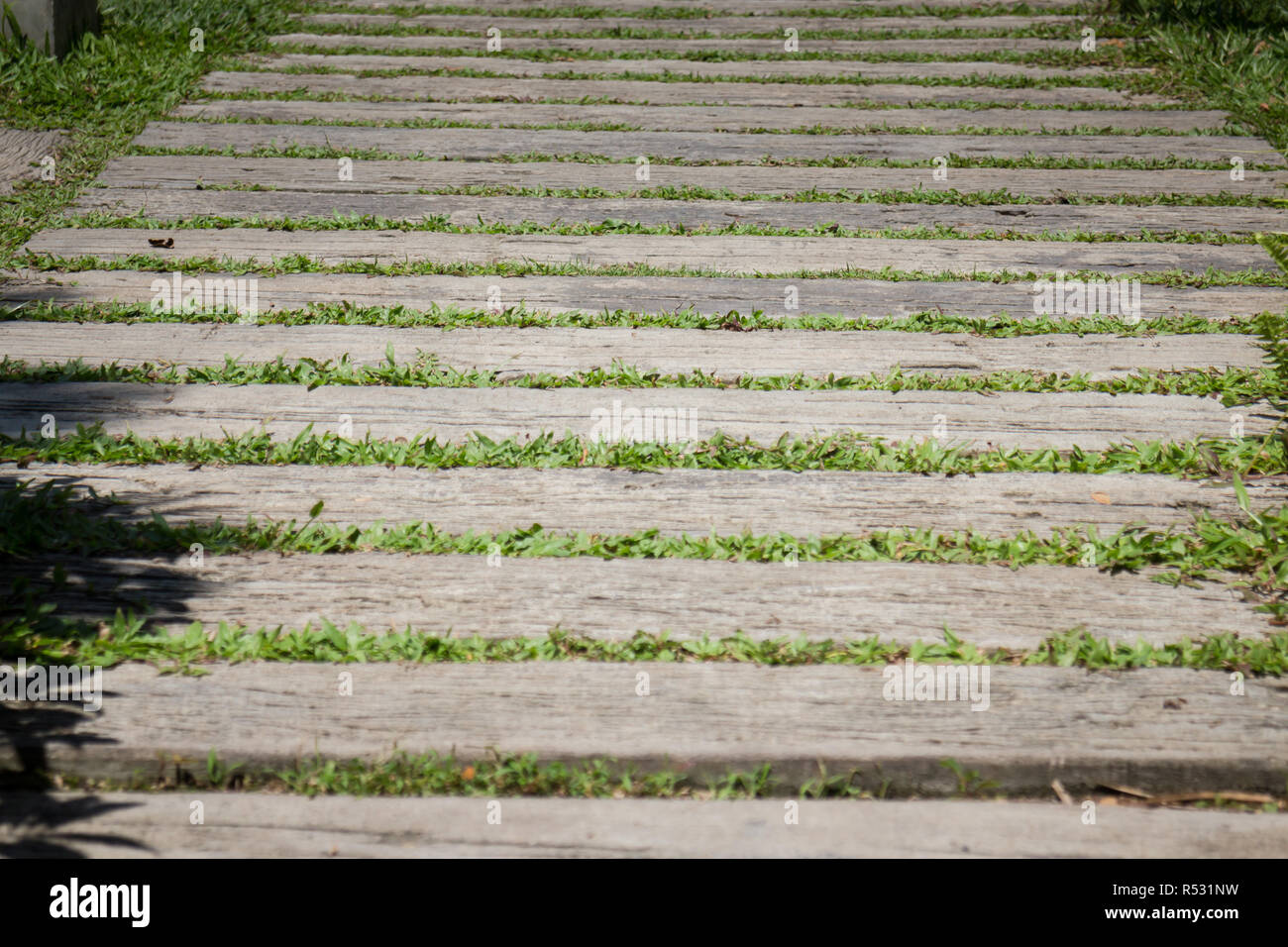 Summer Green Grass Step In Garden Stock Photo - Alamy