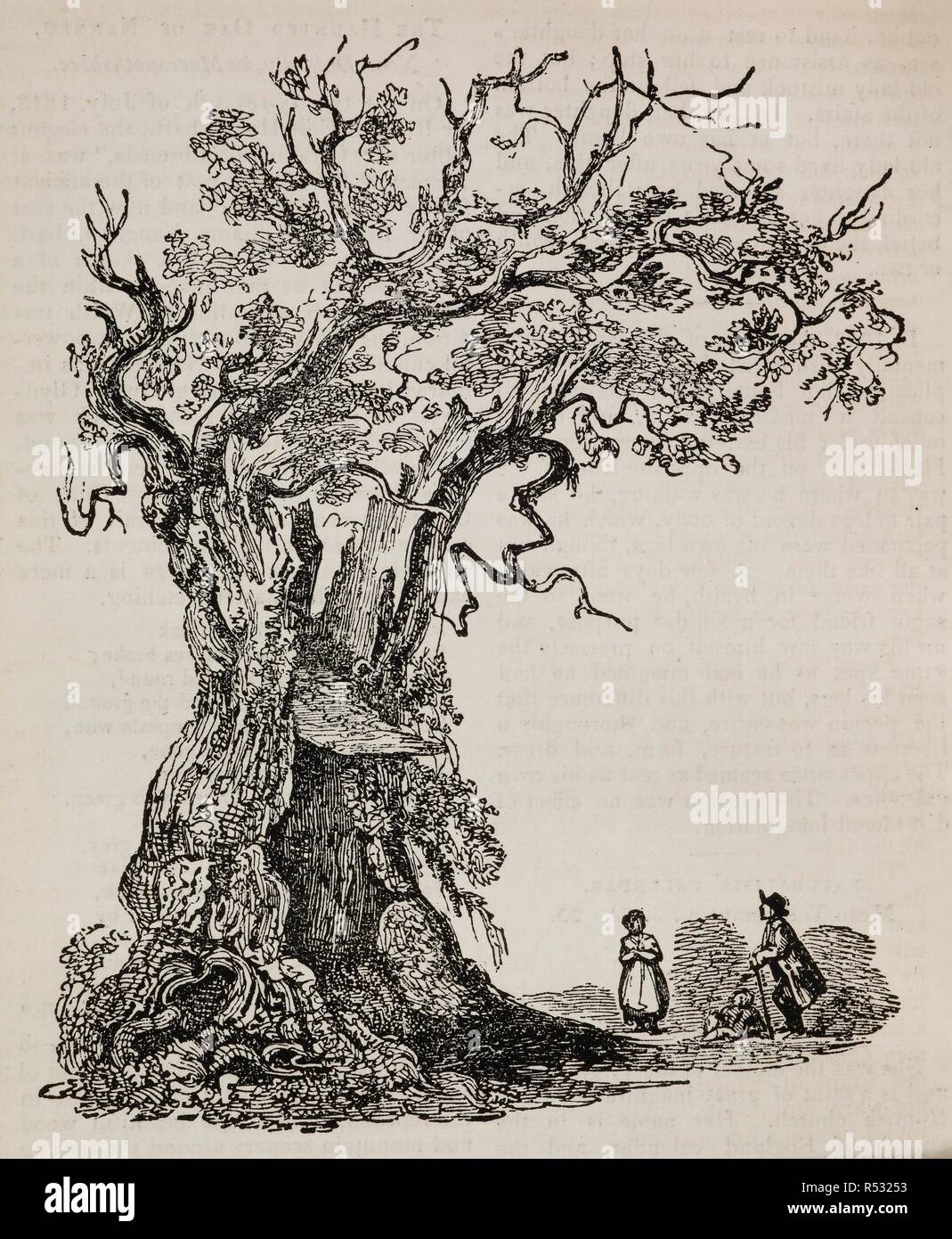 William hone hi-res stock photography and images - Alamy