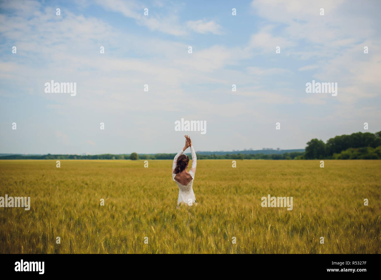 bride at outdoor in a morning surrounding by golden sunlight Stock ...