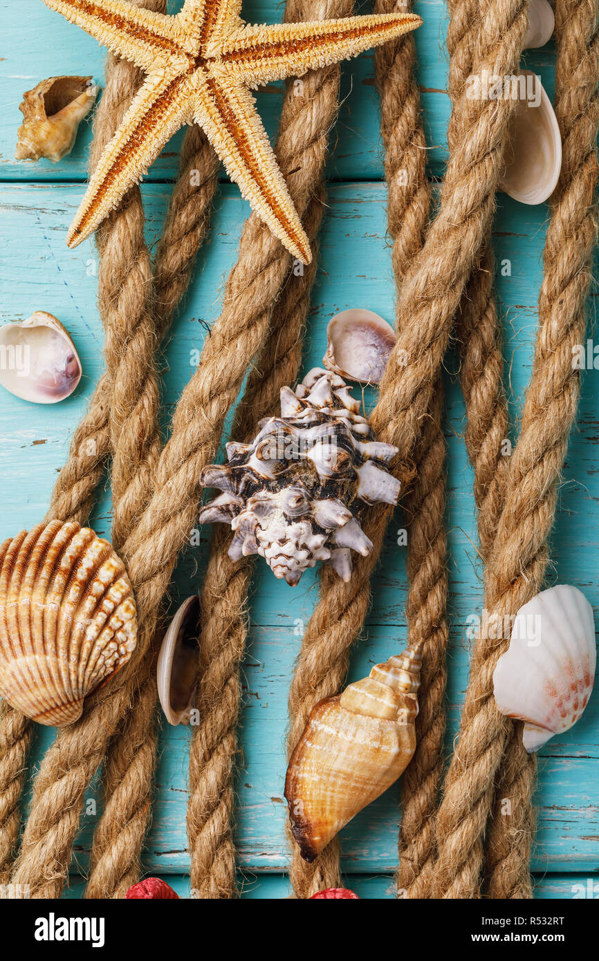 Rope and various sea shells on background of an old wooden board, top ...