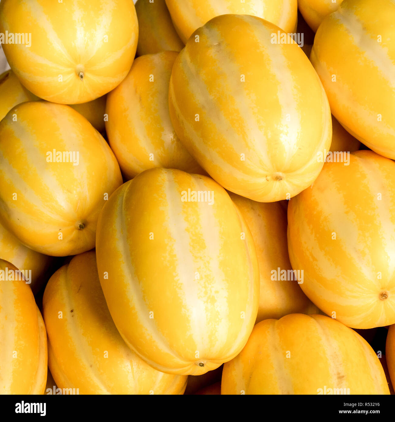 Oriental yellow small striped melons, in Korea known as chamoe. Organic ...