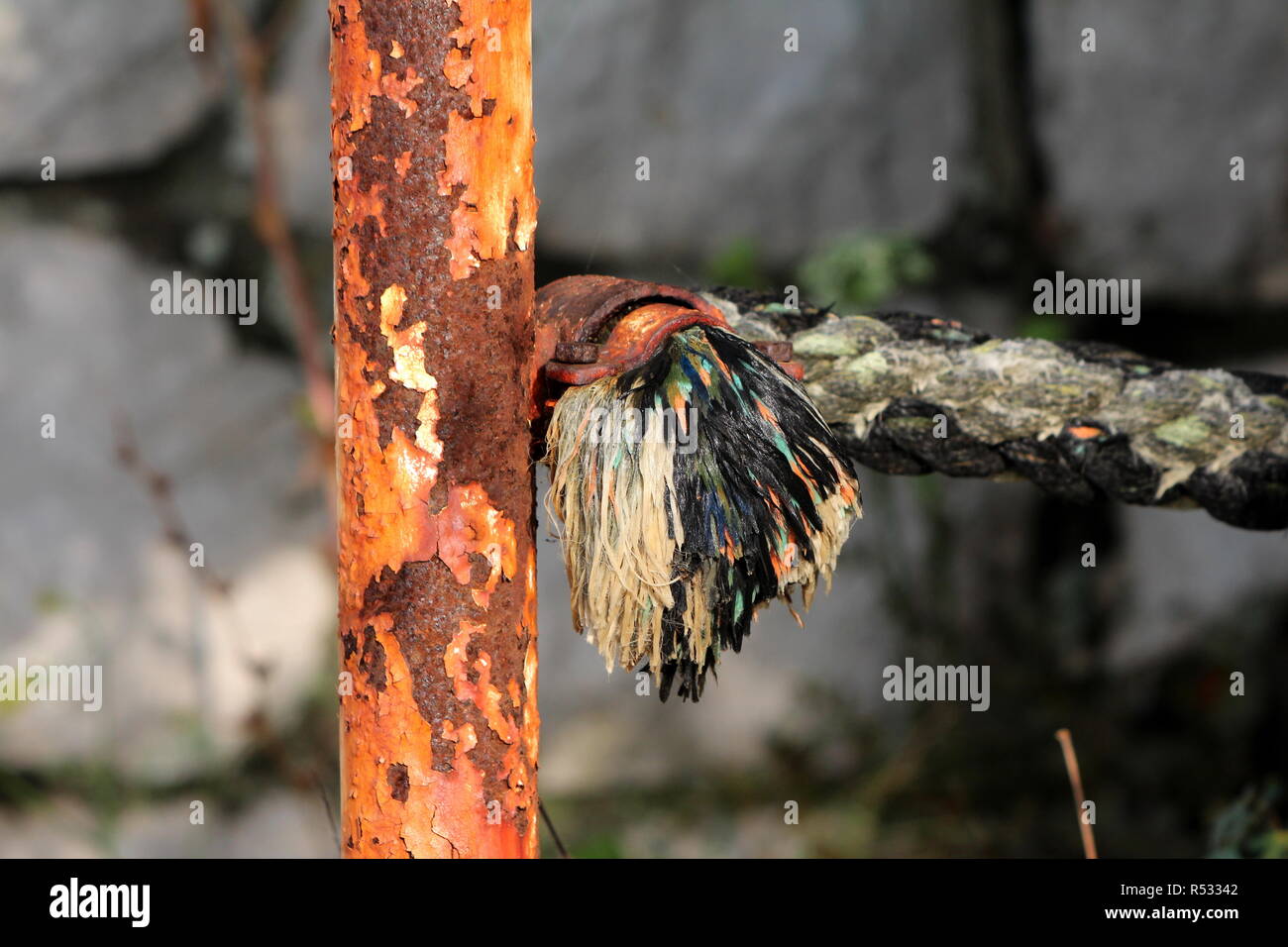 Fully rusted metal pole with cracked paint holding strong naval rope ...