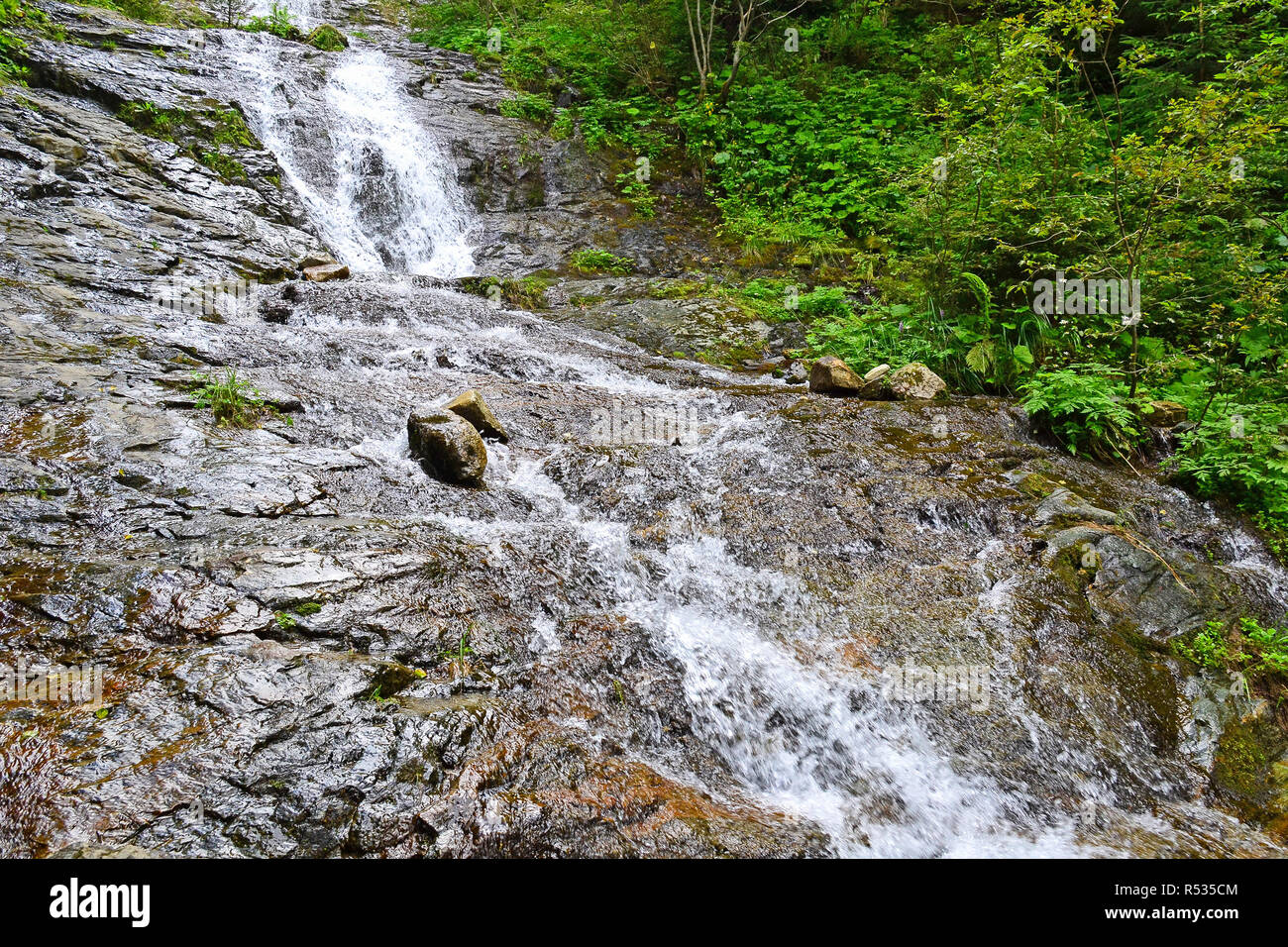 Waterfall in the woods Stock Photo - Alamy