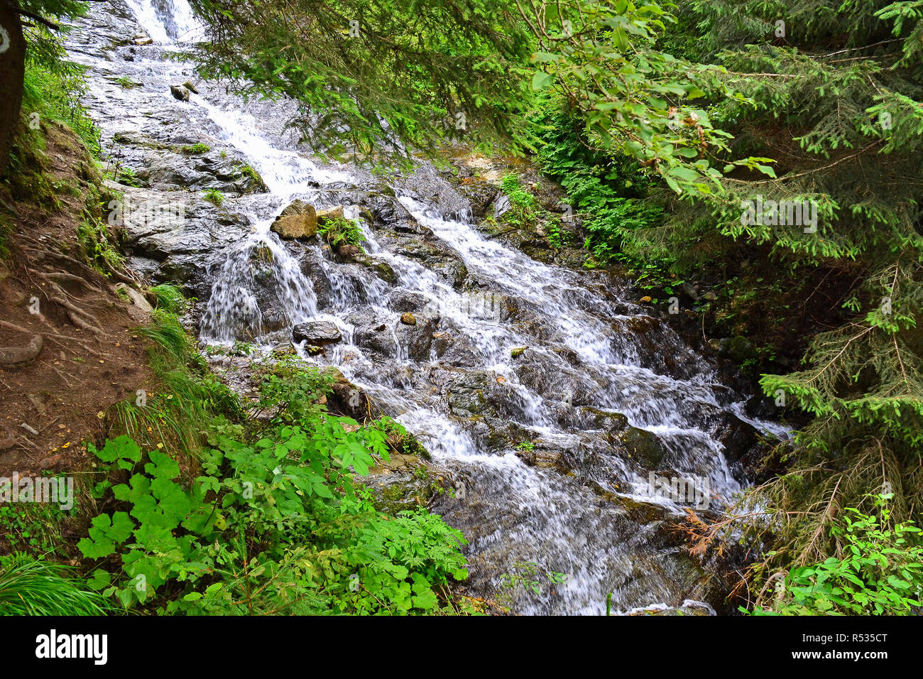 Waterfall in the woods Stock Photo - Alamy