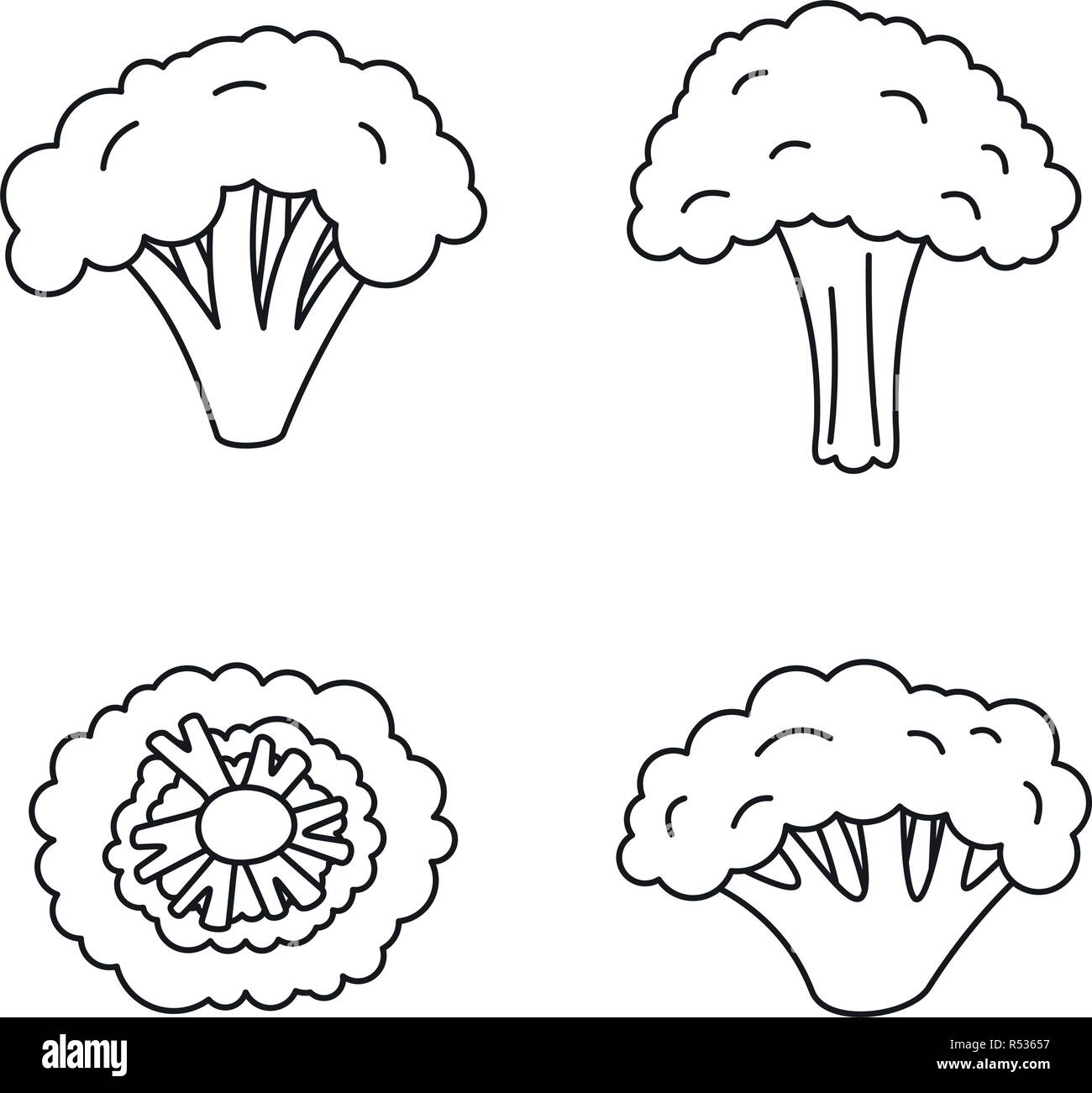 Broccoli plant icon set. Outline set of broccoli plant vector icons for ...