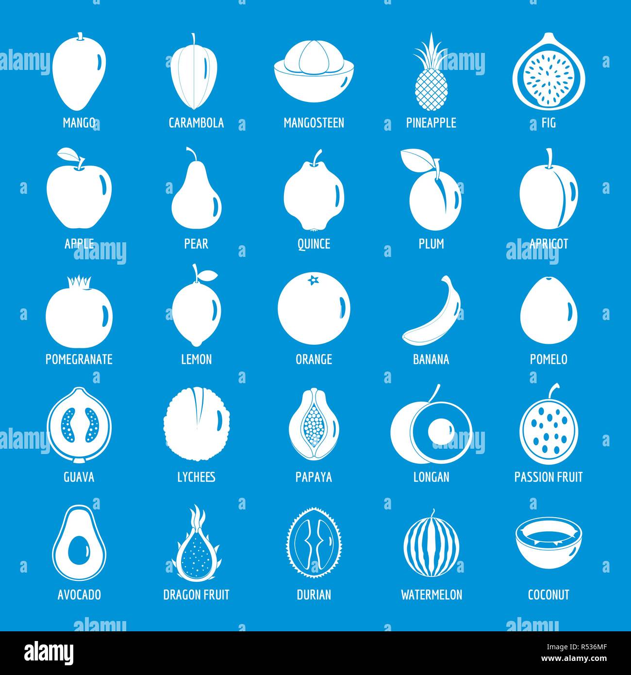 Fruits icons set. Simpe illustration of 25 fruits vector icons for web ...