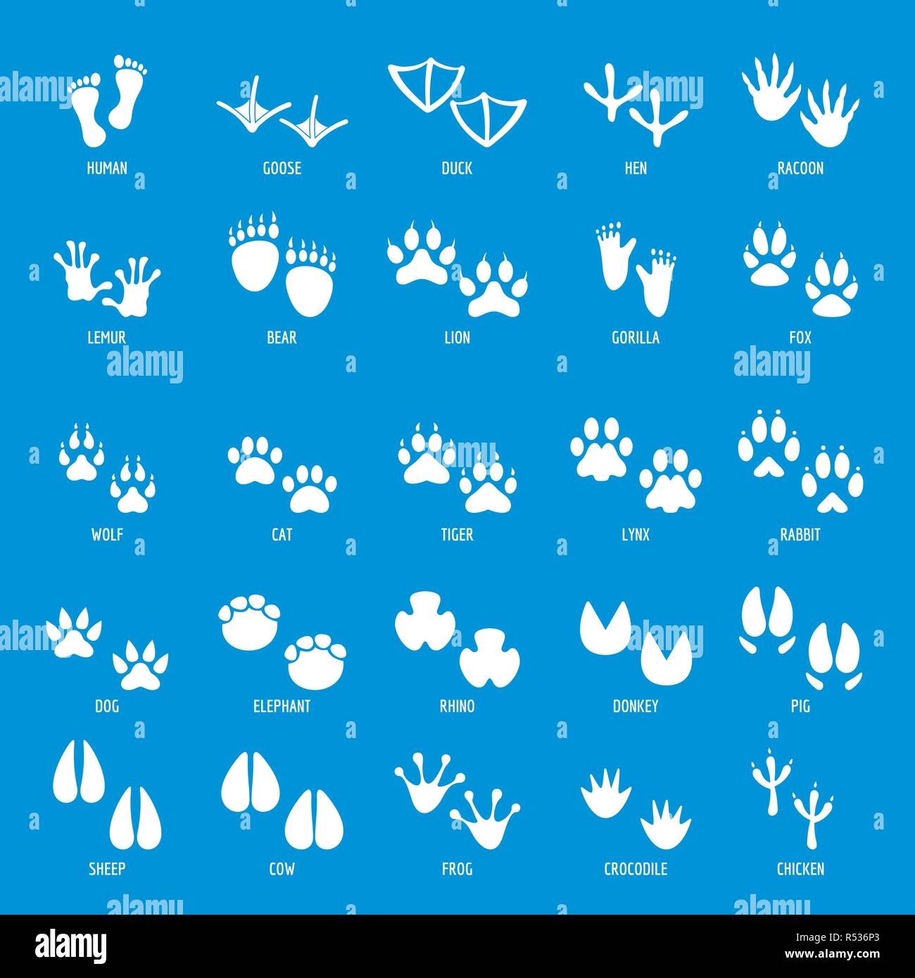 Animal footprint icons set. Simple illustration of 25 animal footprint ...