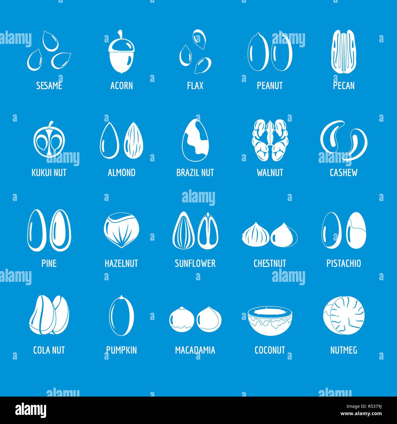 Nut types ith signed names icons set. Simple illustration of 20 nut ...