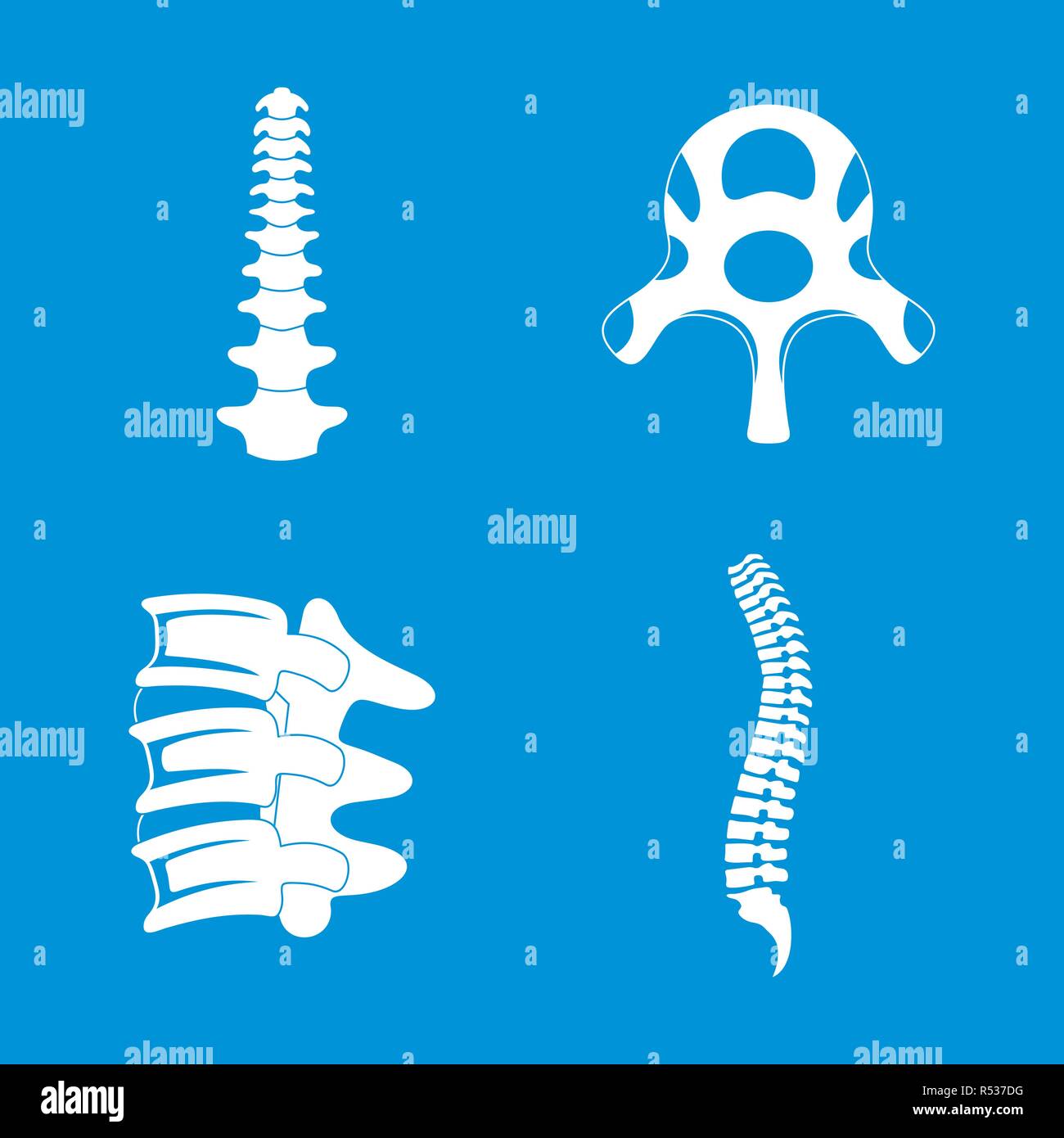 Simple Spine Vector