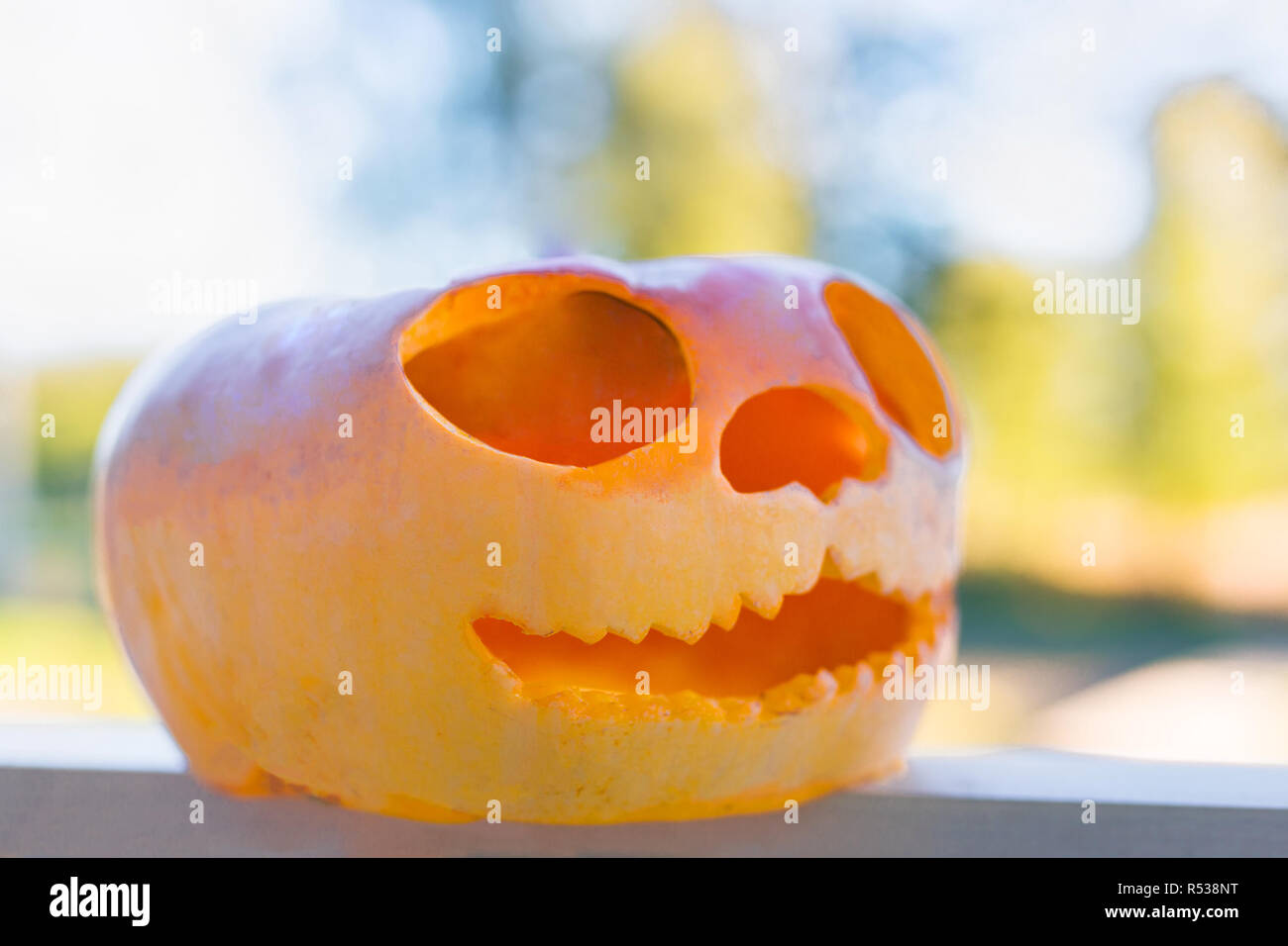 Pupkin hi-res stock photography and images - Alamy