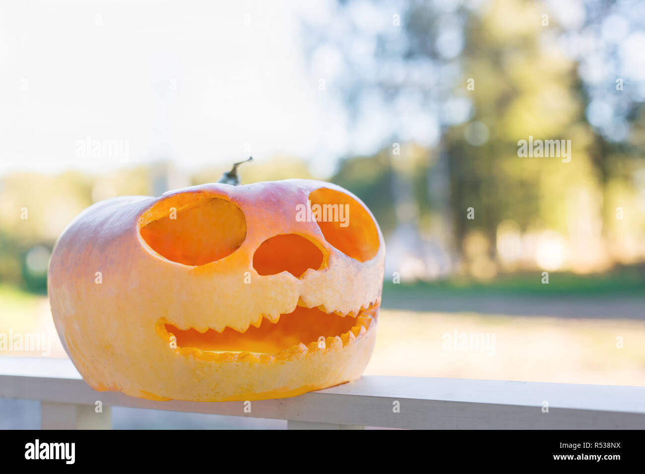 Pupkin hi-res stock photography and images - Alamy