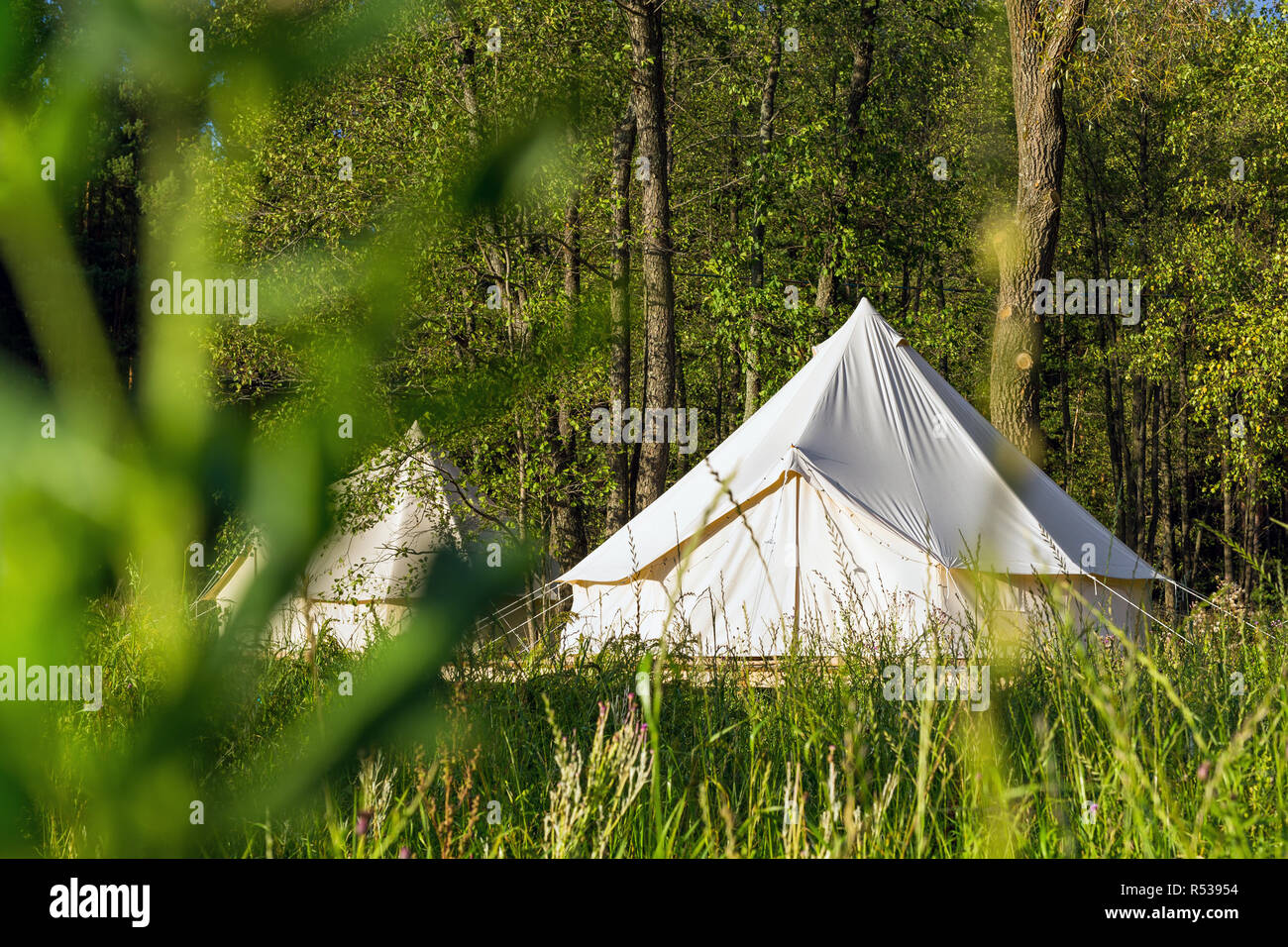 Traditional canvas bell tent outdoors in woods Stock Photo - Alamy