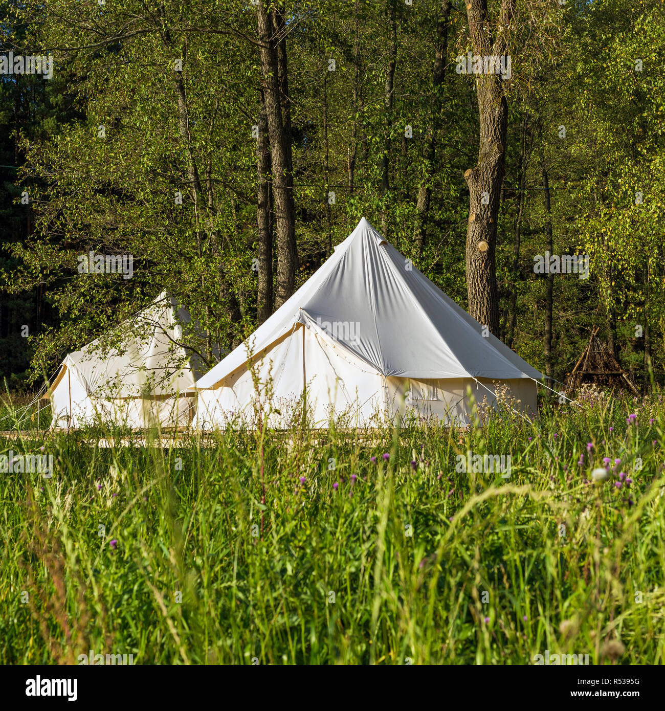 Traditional canvas bell tent outdoors in woods Stock Photo - Alamy