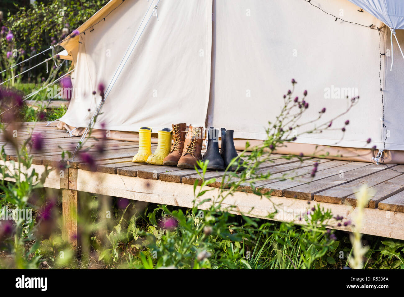 Canvas base hi-res stock photography and images - Alamy