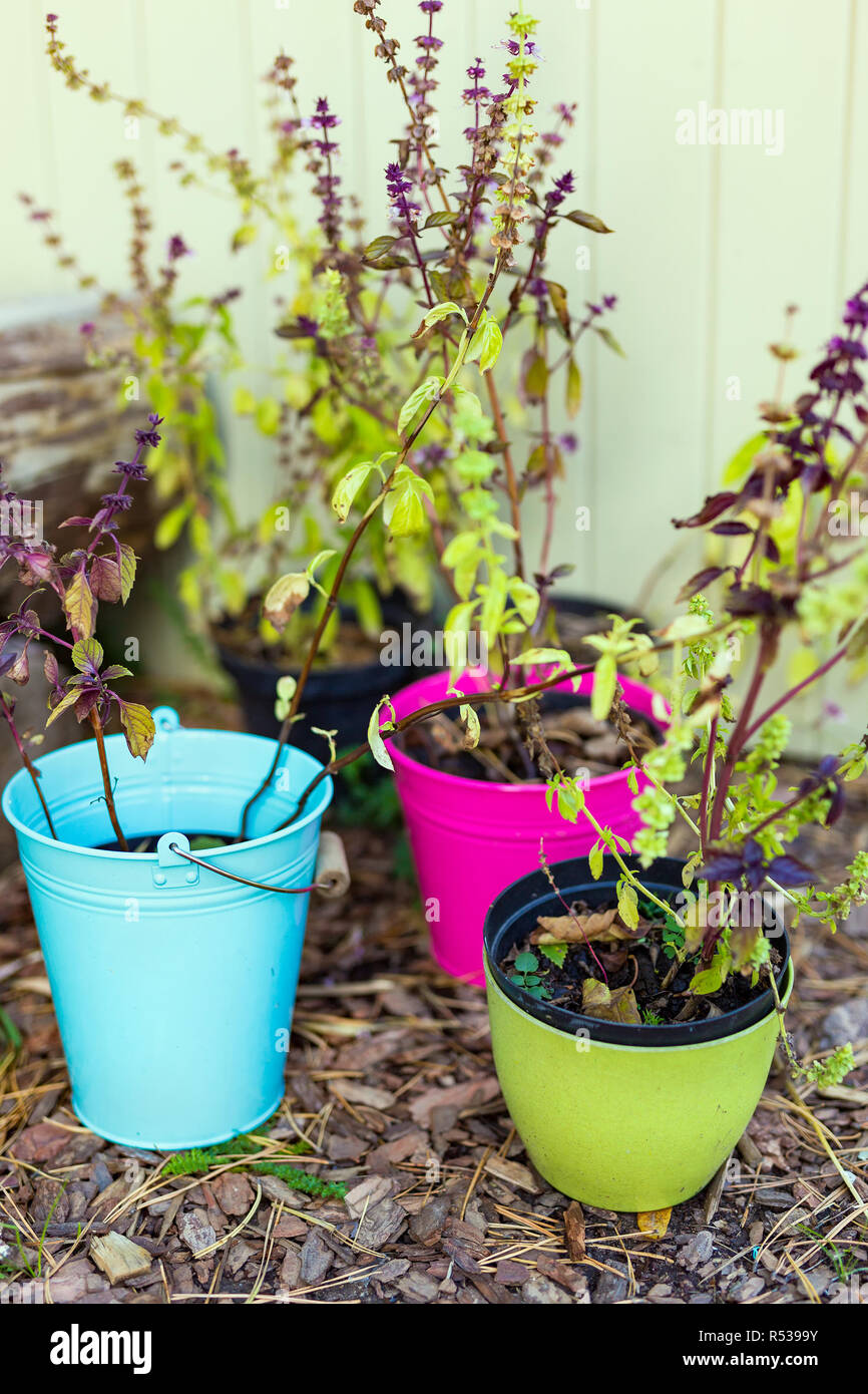 Pots outdoors hi-res stock photography and images - Alamy