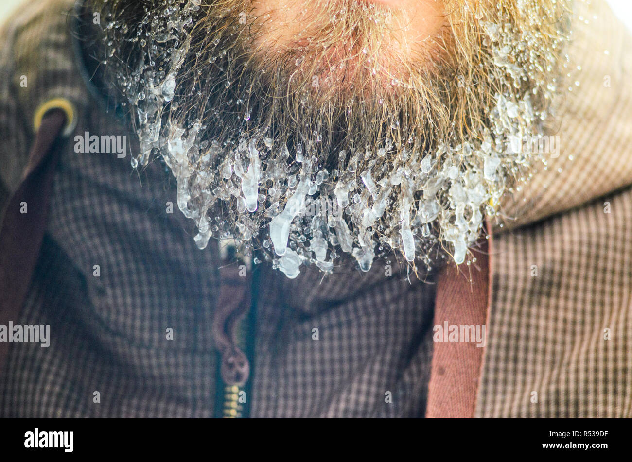 Frozen beard with hanging icicles close up background. Frosty harsh ...
