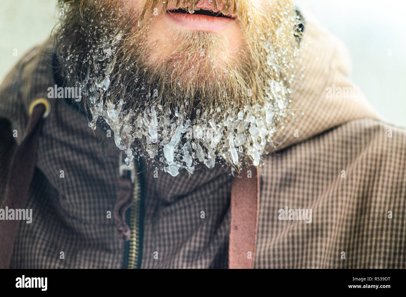 Frozen beard with hanging icicles close up background. Frosty harsh ...