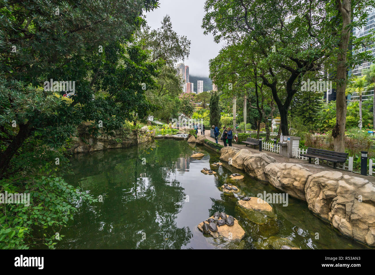 Small beautiful pond at Hong Kong Park with turtles on the rocks. Hong ...