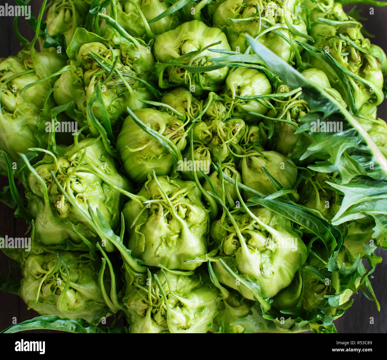 Fresh raw italian chicory Stock Photo - Alamy