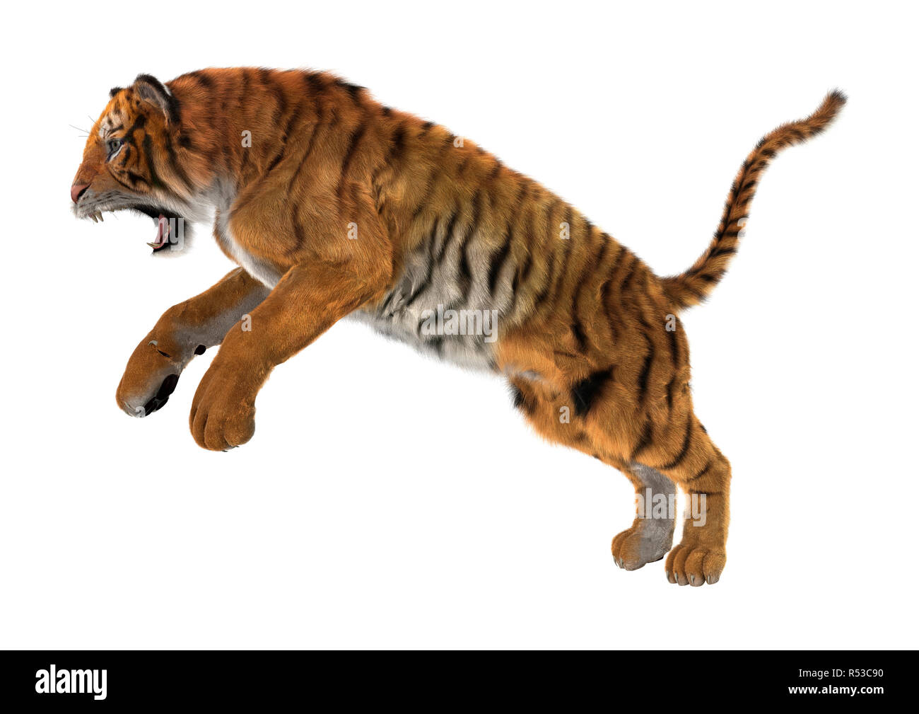 3D Rendering Big Cat Tiger on White Stock Photo - Alamy