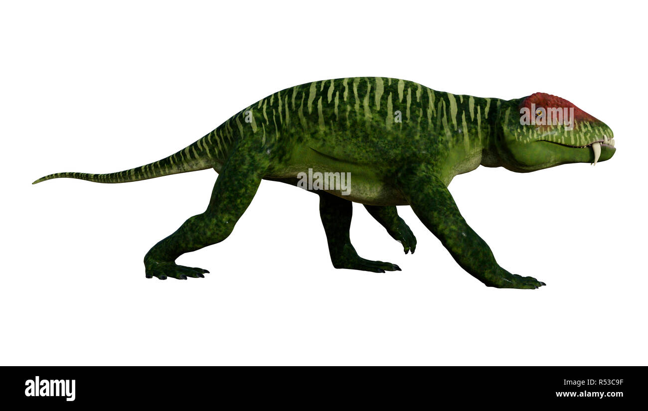 3D Rendering Dinosaur Doliosauriscus on White Stock Photo - Alamy
