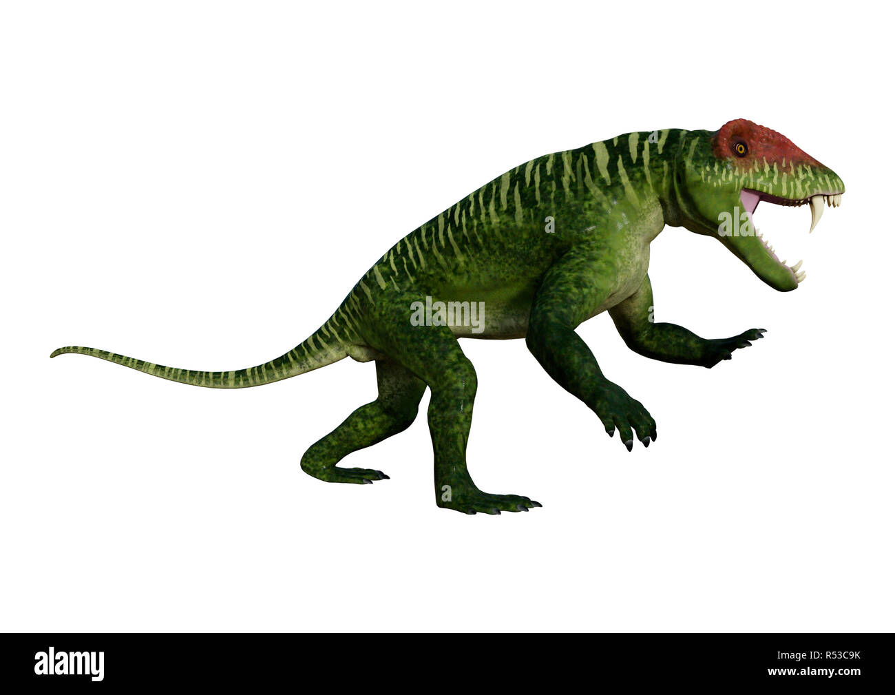 3D Rendering Dinosaur Doliosauriscus on White Stock Photo - Alamy