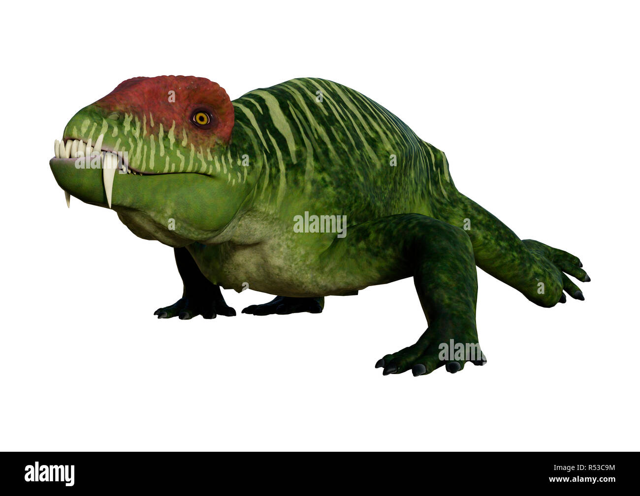 3D Rendering Dinosaur Doliosauriscus on White Stock Photo - Alamy