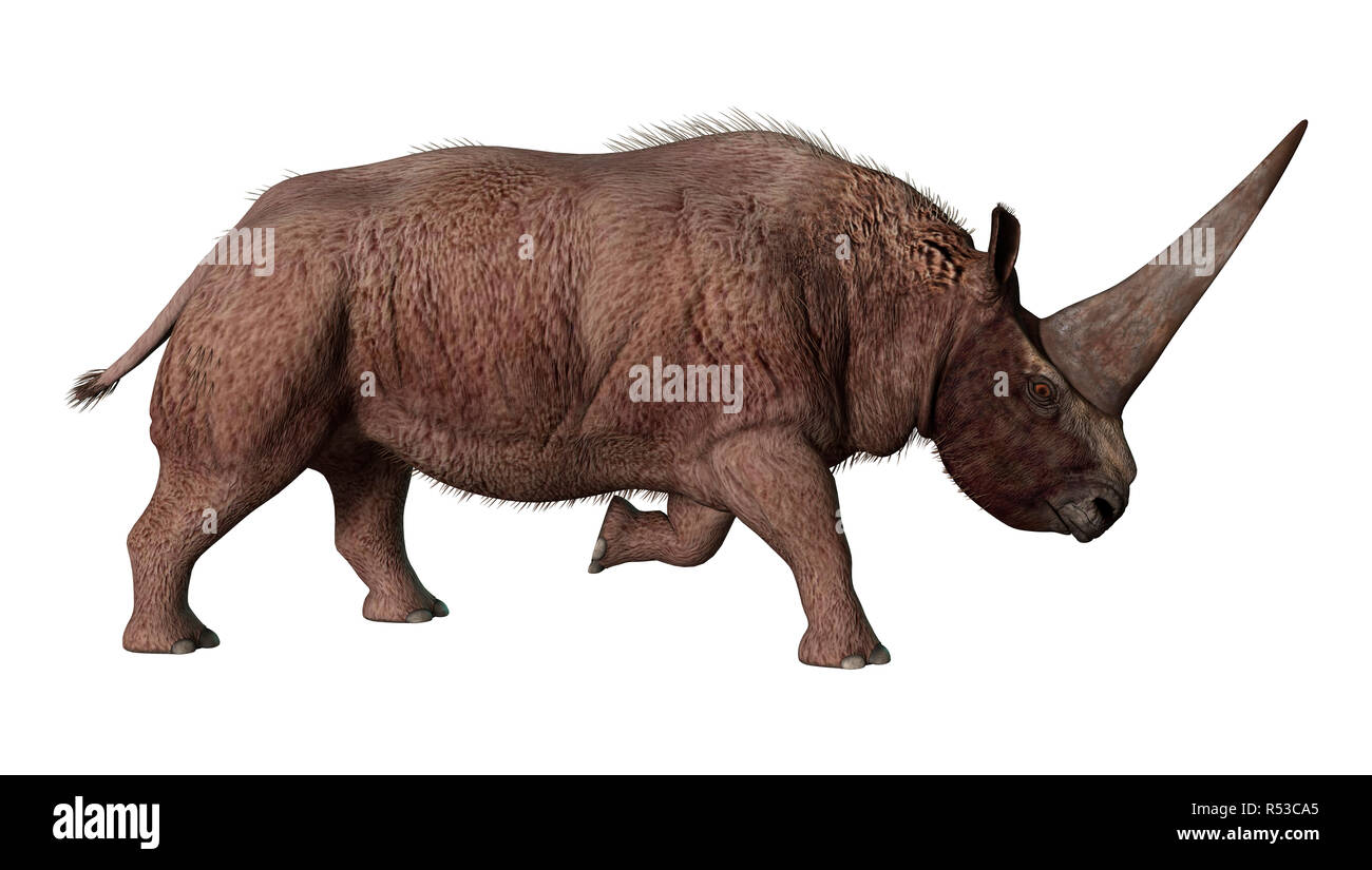 Elasmotherium hi-res stock photography and images - Alamy