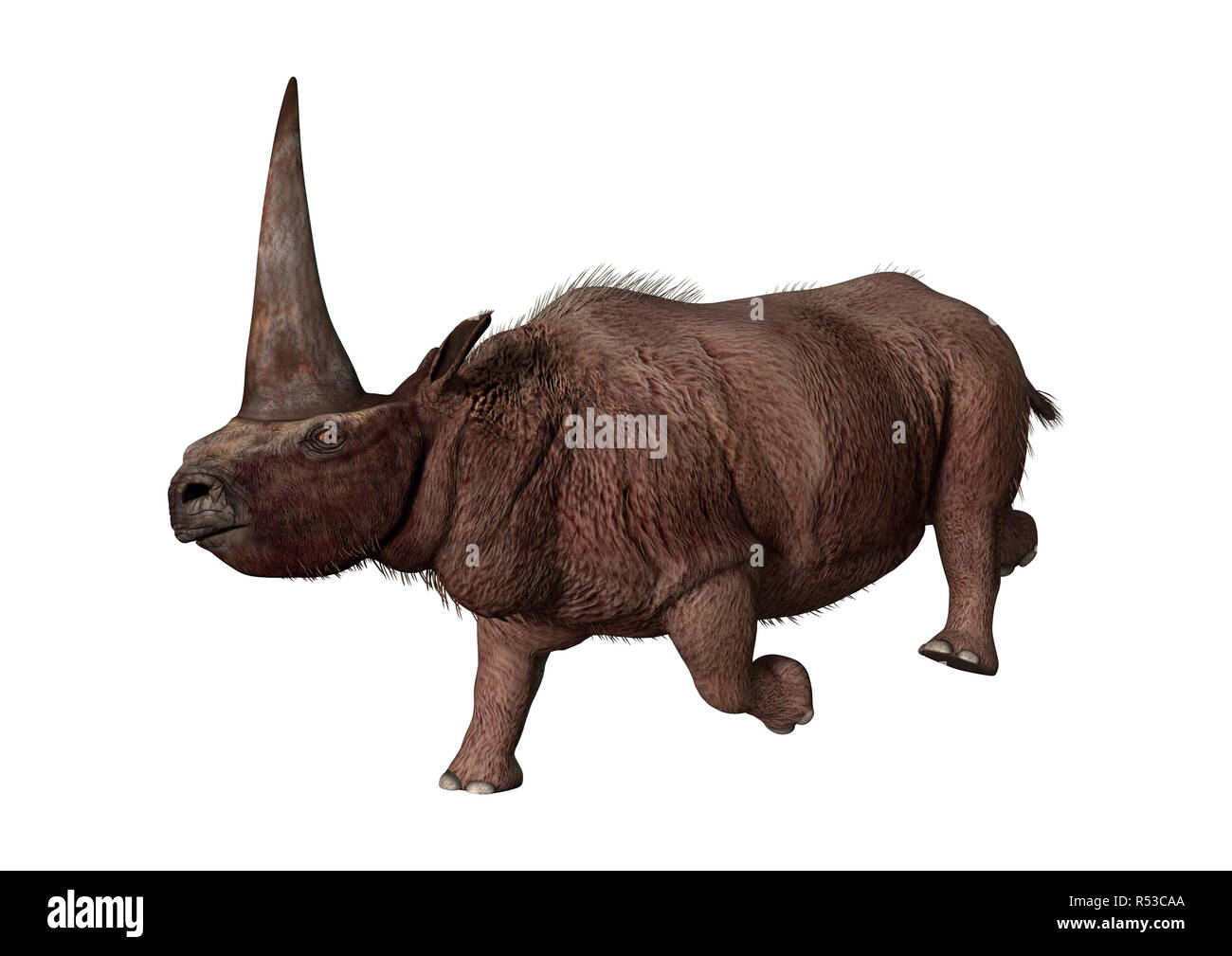 Elasmotherium hi-res stock photography and images - Alamy